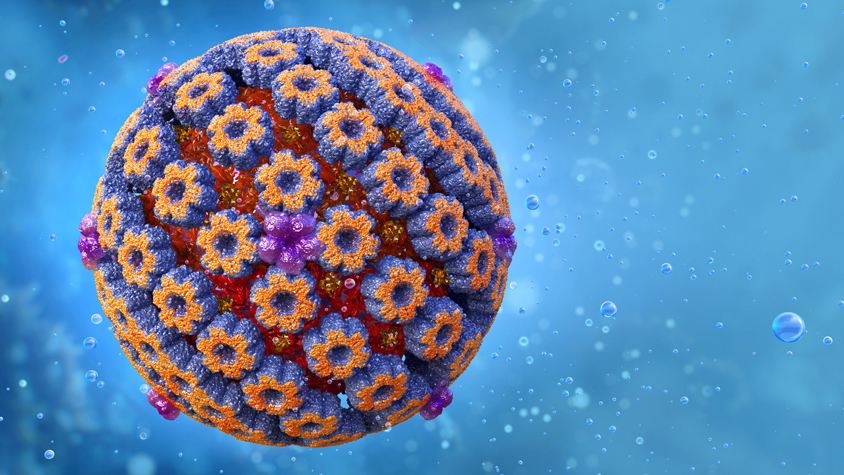 英研究チームが、ヘルペスの変異体「RP2」によって癌を克服できる可能性を示唆。フェイズ1まで進行、「The Institute of ...