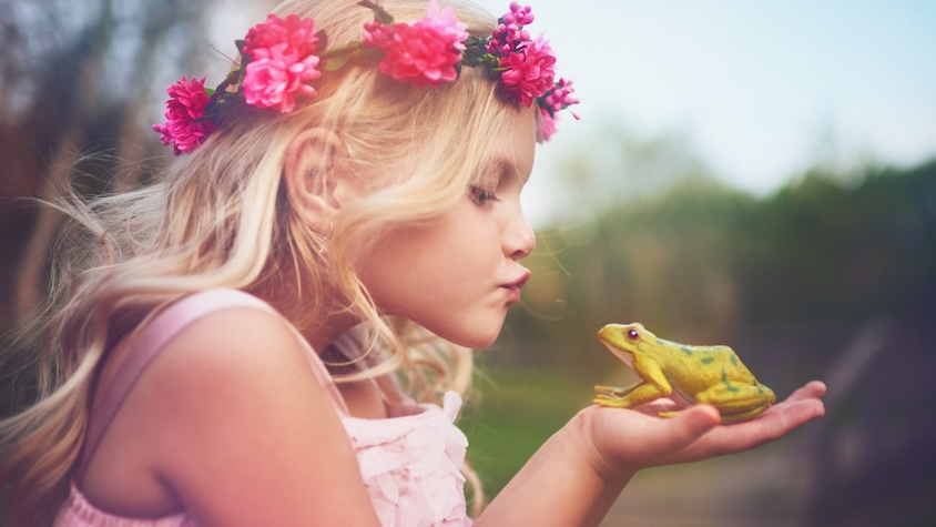 カエルの「粘液」が未来を変える！？医療現場からSDGsまで、驚きの可能性に迫る | TABI LABO