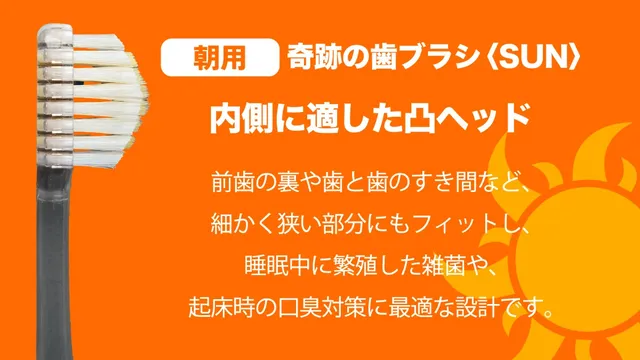 「奇跡の歯ブラシ」から朝夜2本使いセットが登場。凸型と凹型の“真逆の形状”で磨き残しゼロへ | TABI LABO